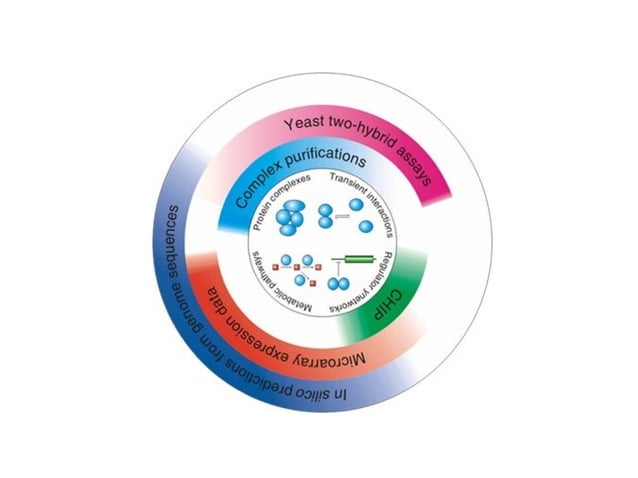 The STRING database | PPT | Databases | Computer Software and Applications