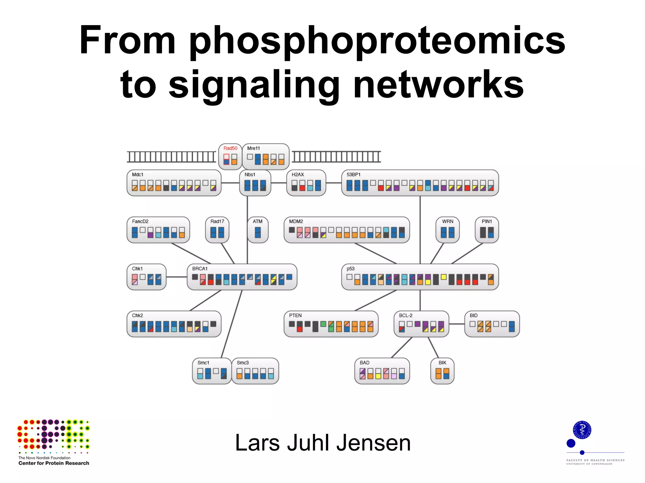 From phosphoproteomics to signaling networks | PPT