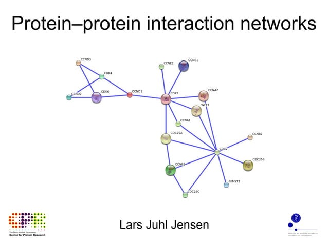 Protein–protein interaction networks | PPT | Genetics | Science