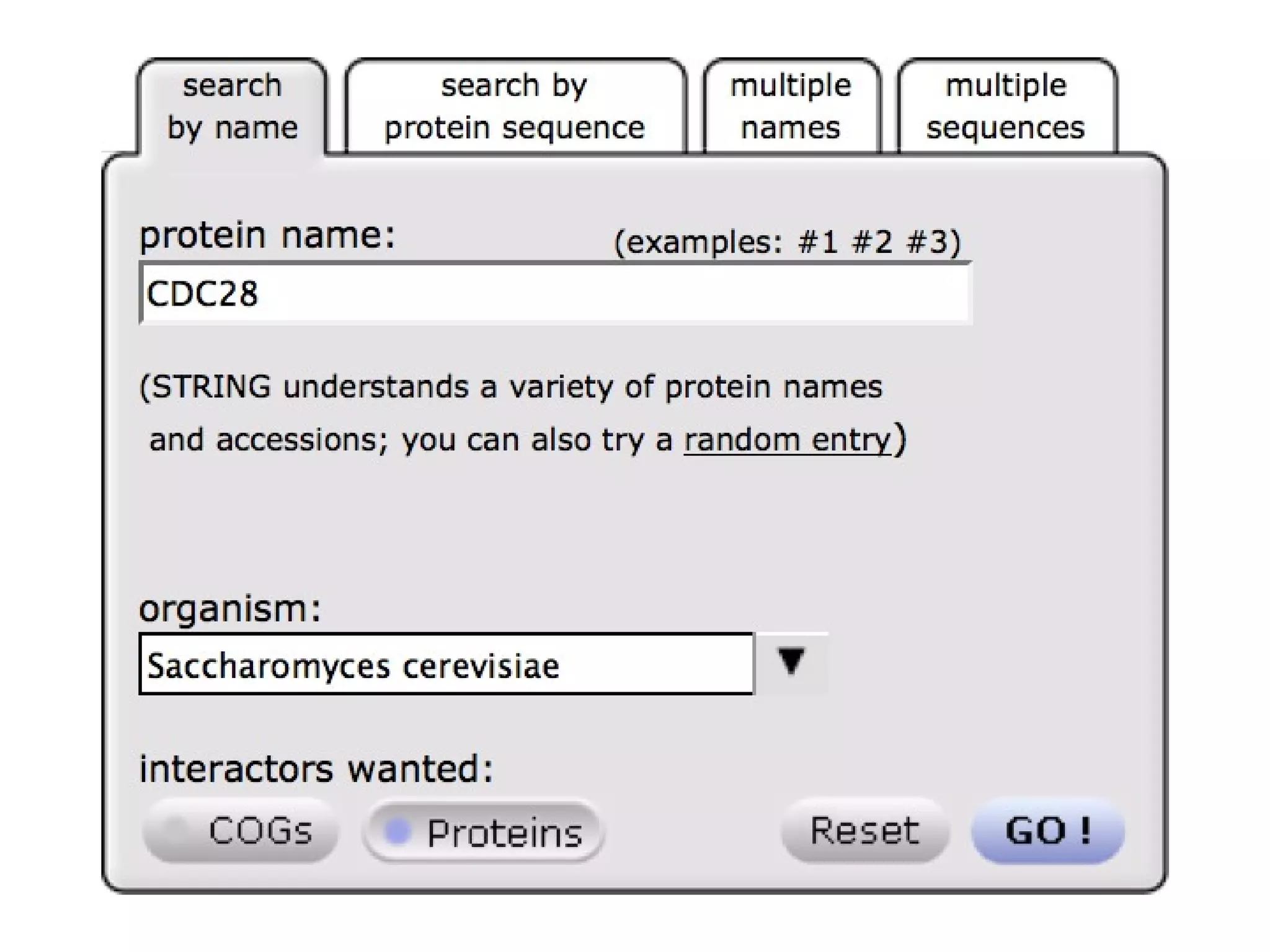 Protein interaction networks | PPT