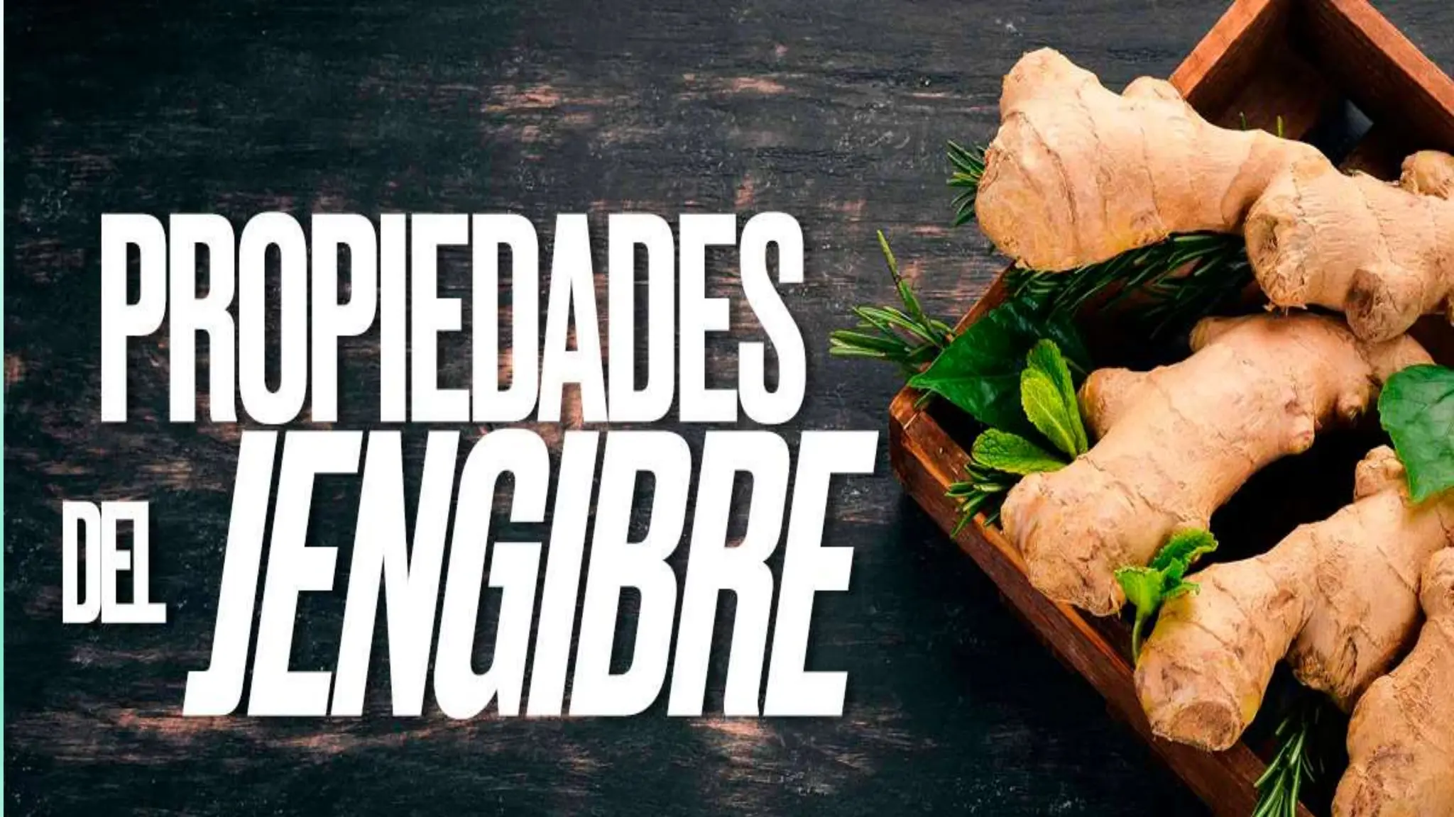 EL JENGIBRE, SUS USOS, BENEFICIOS E HISTORIA.pptx