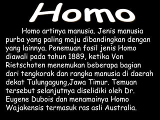 Jenis jenis-manusia-purba | PPT