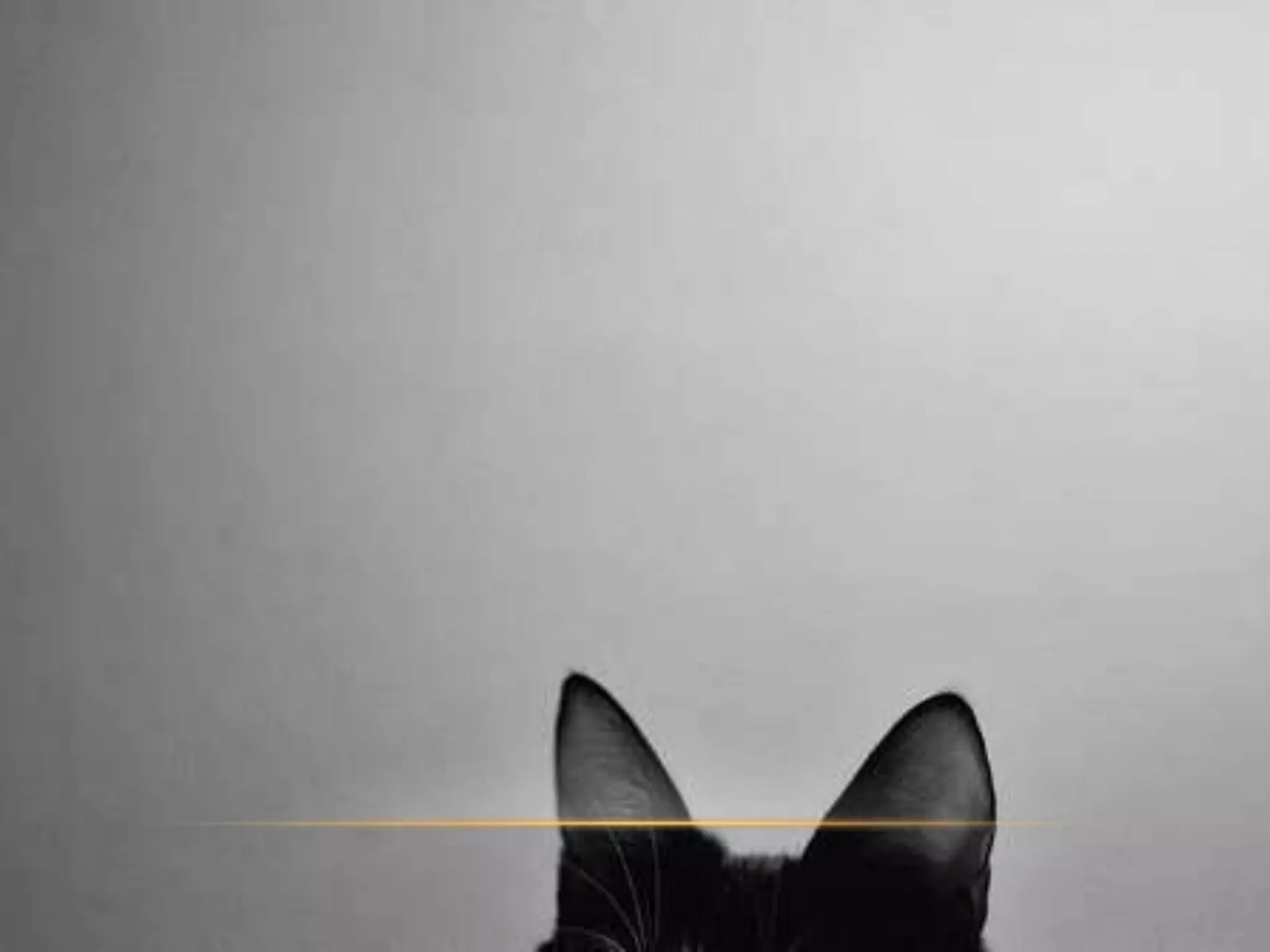 Contoh pembentangan kerja khusus BM KK penggal 3 | PPTX