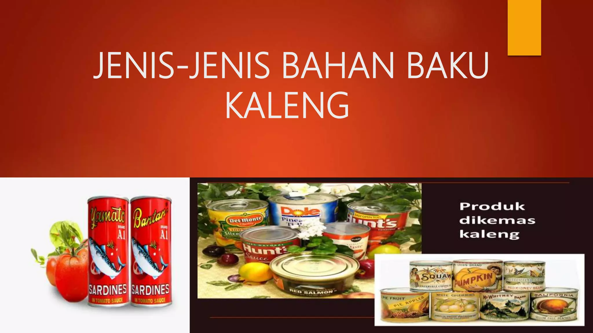 Jenis jenis bahan baku kaleng | PPTX