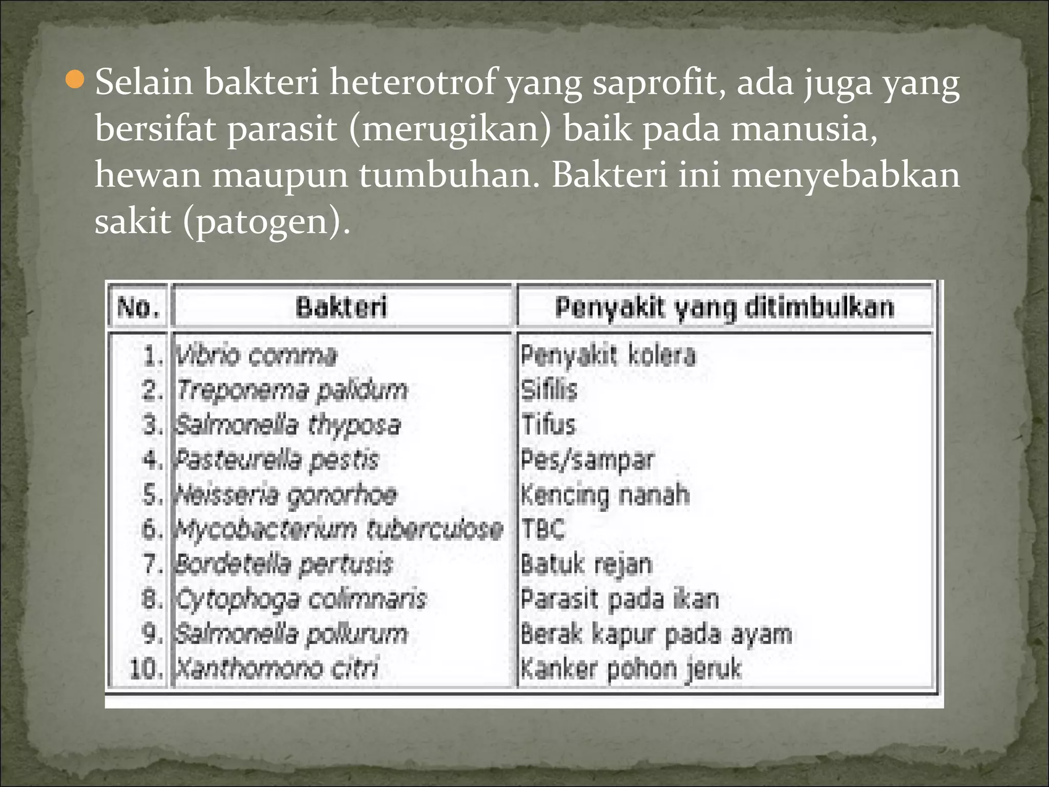 Jenis jenis bakteri, manfaat dan kerugian | PPT