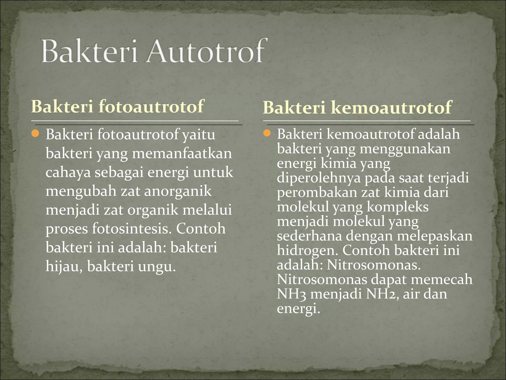 Jenis jenis bakteri, manfaat dan kerugian | PPT