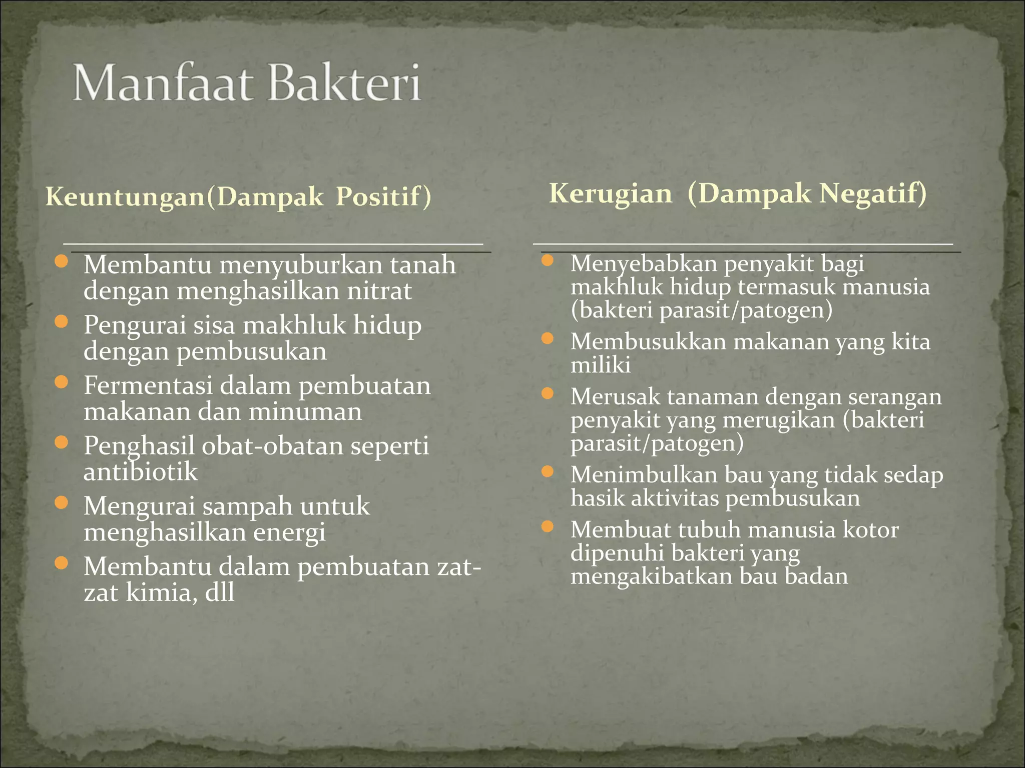 Jenis jenis bakteri, manfaat dan kerugian | PPT