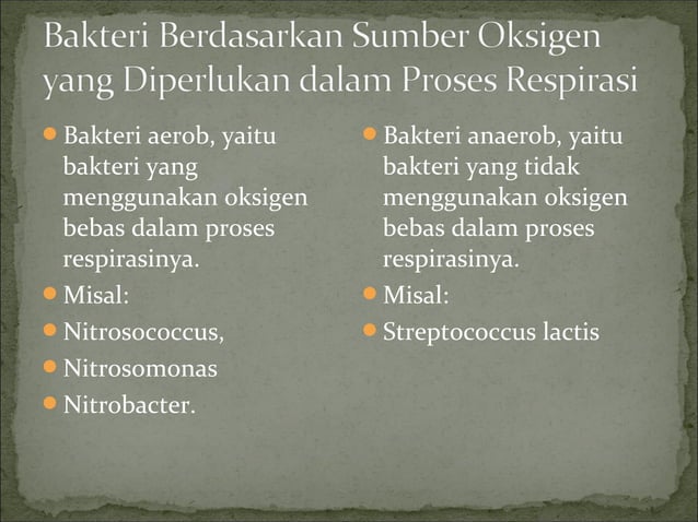 Jenis jenis bakteri, manfaat dan kerugian | PPT