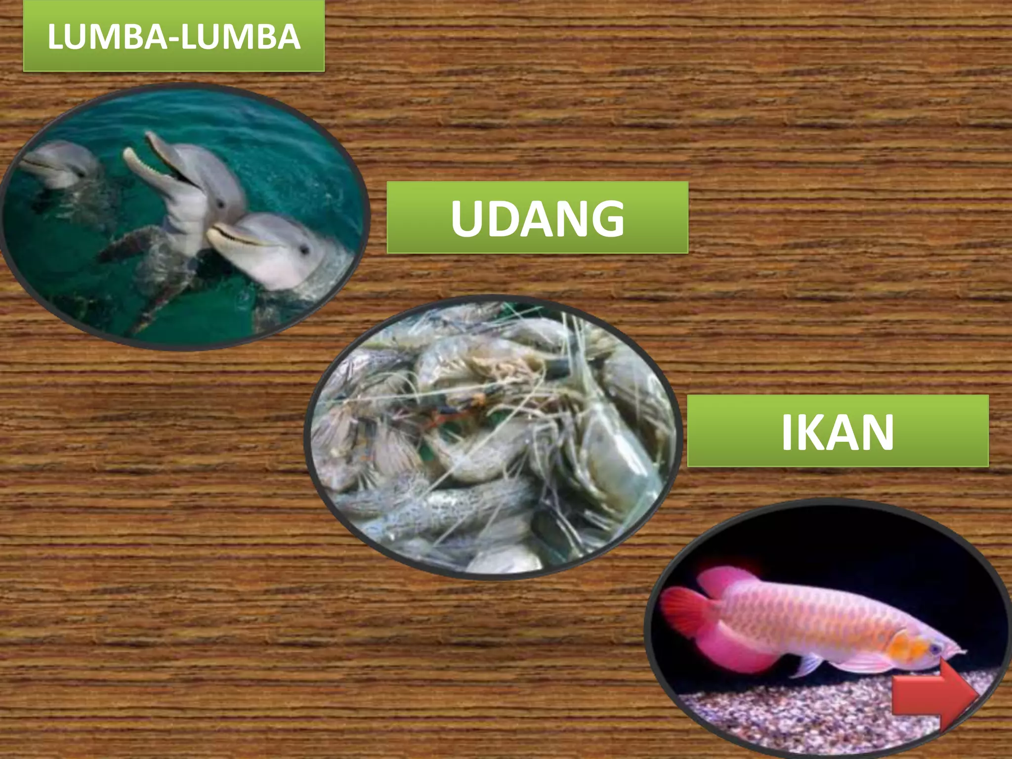 IMSYAFIUL - JENIS-JENIS BINATANG | PPTX