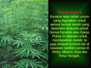 Jenis-jenis Dadah.ppt yang tak elok di gunakan | PPT