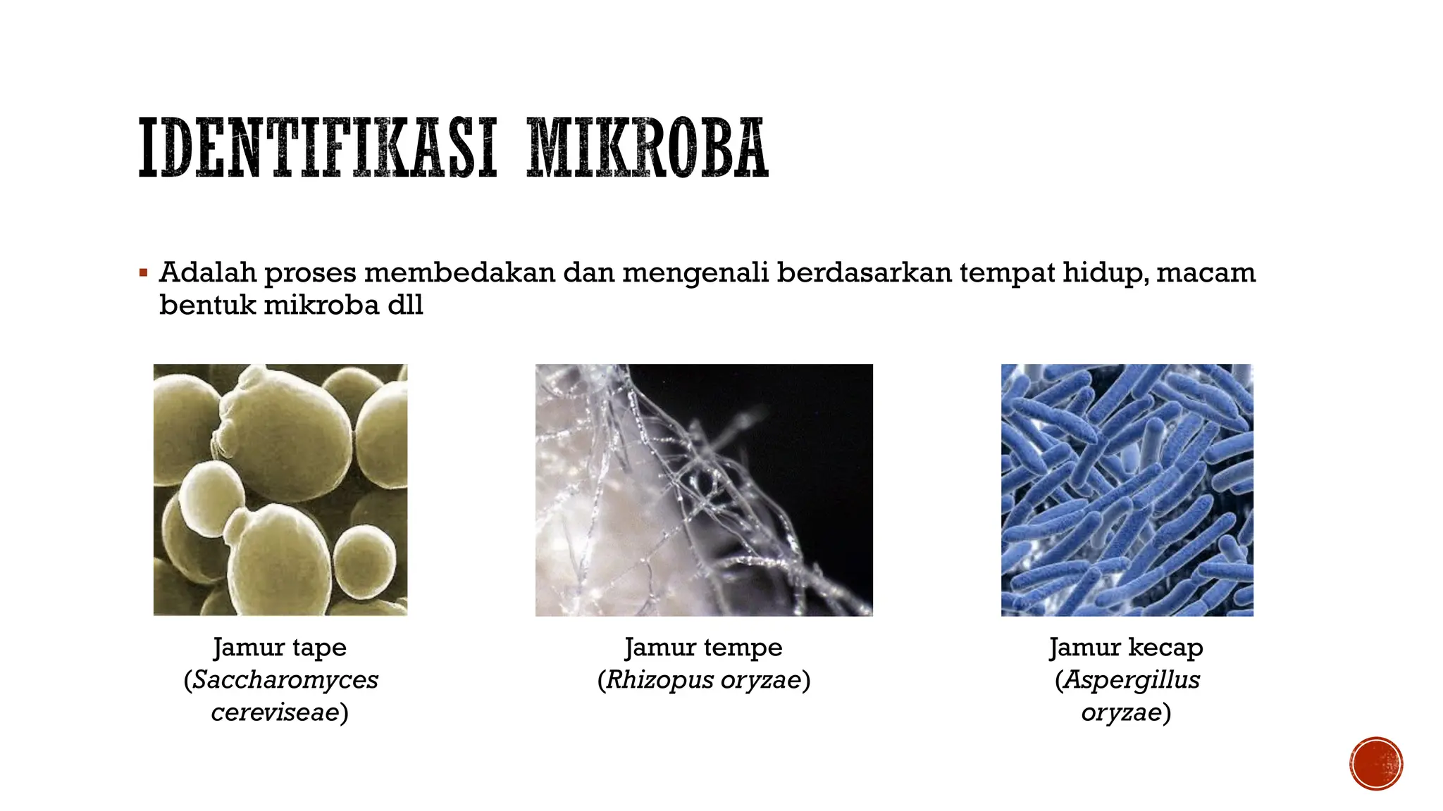 JENIS-JENIS_DAN_MACAM-MACAM_______MEDIA. | PDF