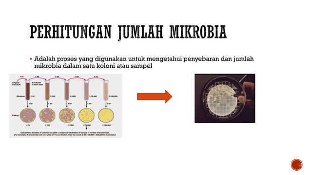 JENIS-JENIS_DAN_MACAM-MACAM_______MEDIA. | PDF