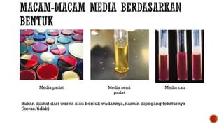 JENIS-JENIS_DAN_MACAM-MACAM_______MEDIA. | PDF