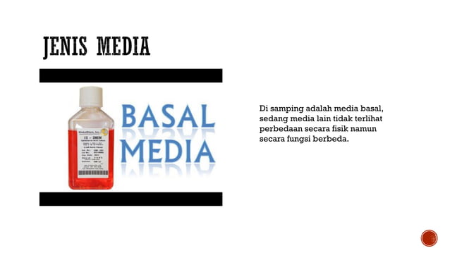 JENIS-JENIS_DAN_MACAM-MACAM_______MEDIA. | PDF