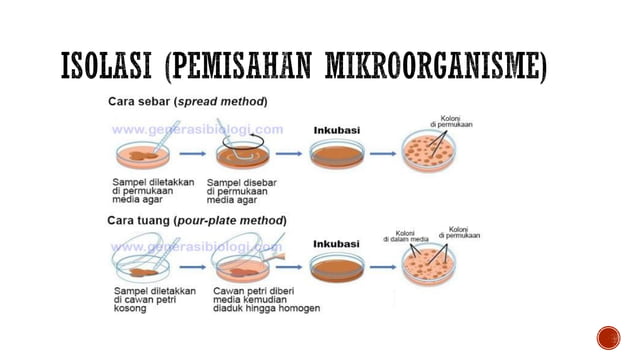 JENIS-JENIS_DAN_MACAM-MACAM_______MEDIA. | PDF
