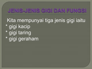 Jenis jenis gigi dan fungsi | PPTX