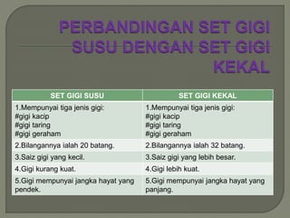 Jenis jenis gigi dan fungsi | PPTX