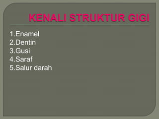 Jenis jenis gigi dan fungsi | PPTX