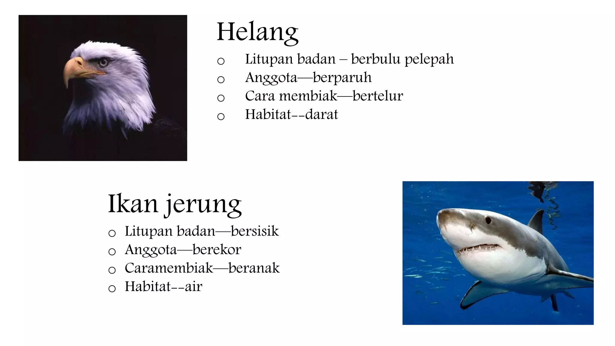 Jenis jenis haiwan | PPTX