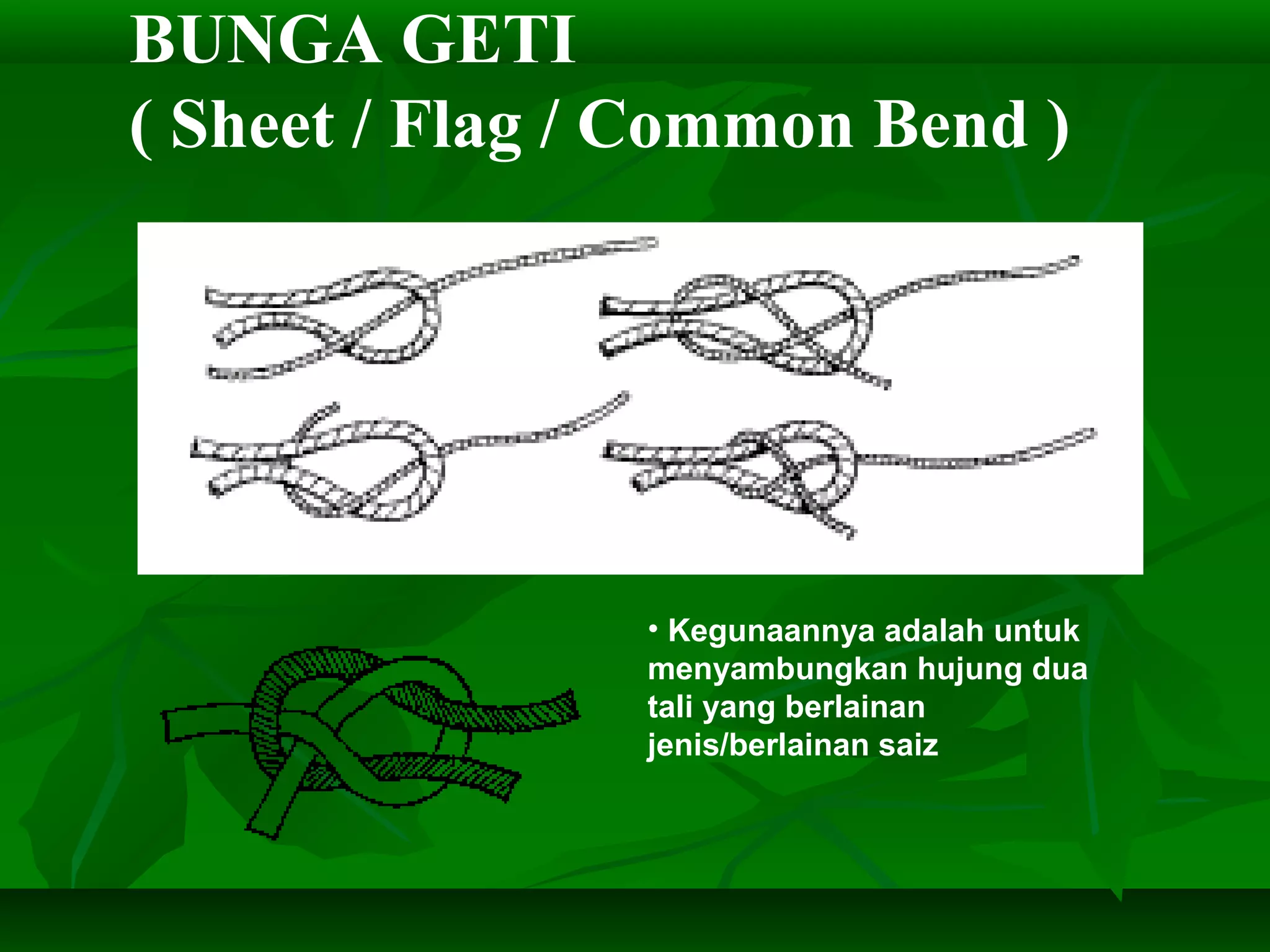 Jenis jenisikatanknots-130724133729-phpapp02 | PPT