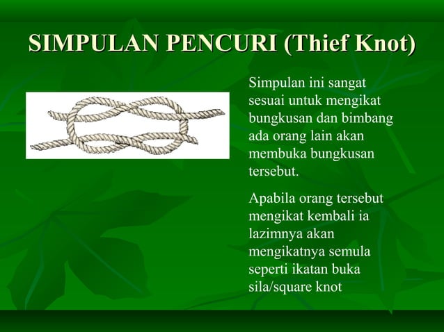 Jenis jenisikatanknots-130724133729-phpapp02 | PPT