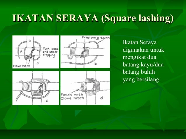 Jenis jenis ikatan (knots)