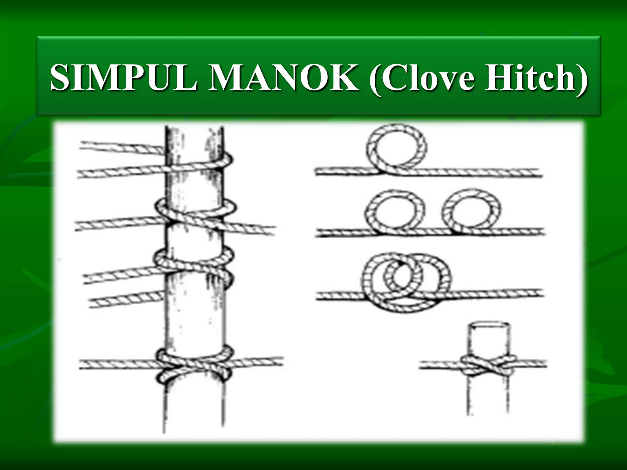Jenis jenis ikatan (knots) | PPTX