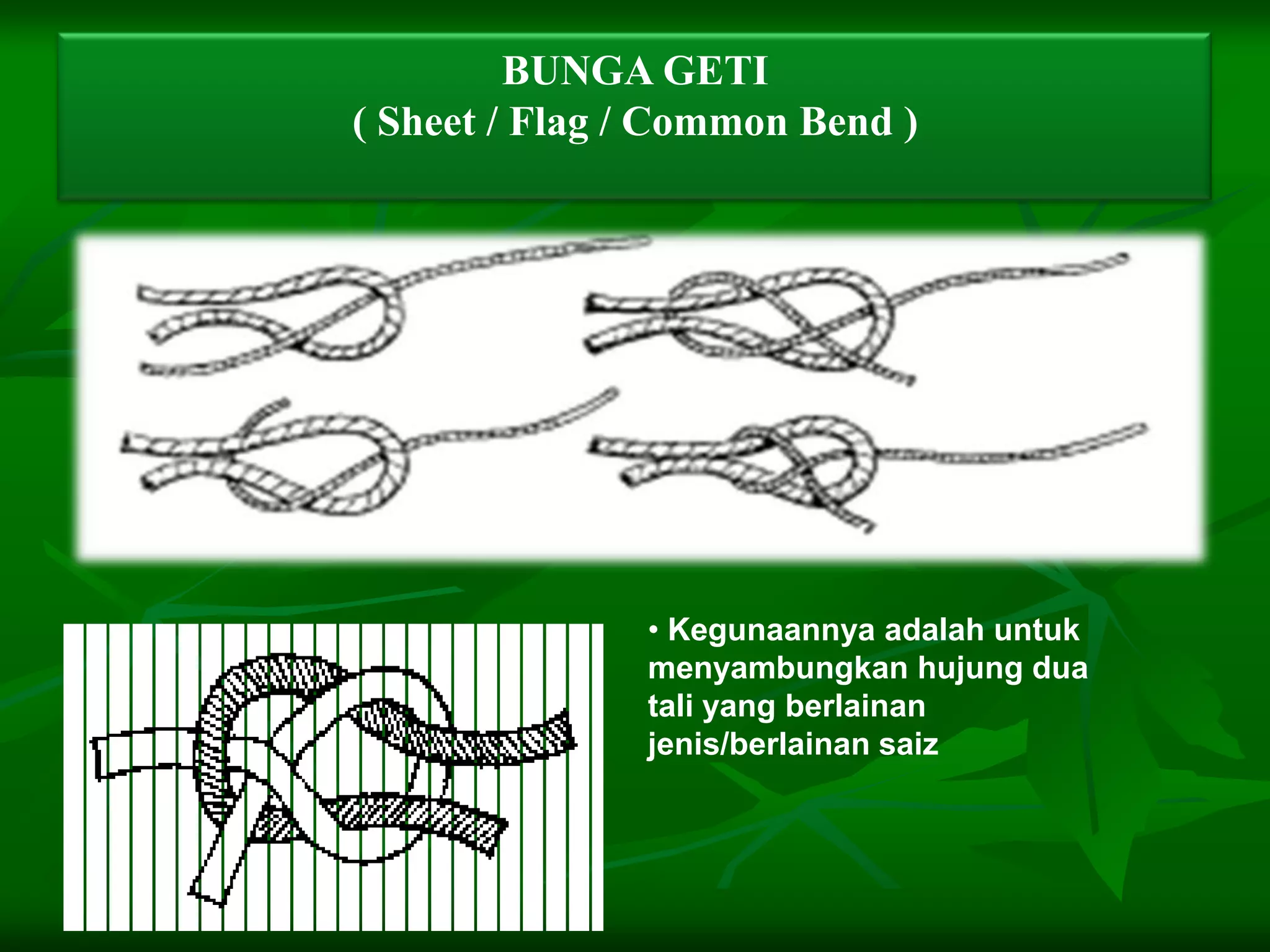 Jenis jenis ikatan (knots) | PPTX