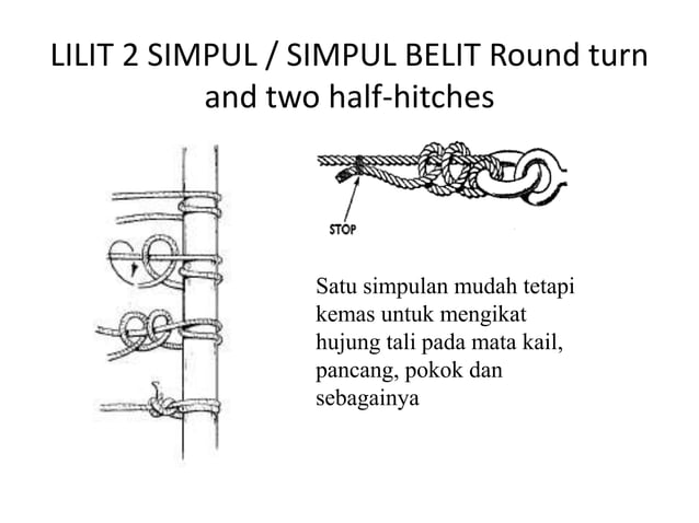 Jenis-Jenis Ikatan (Knots).ppt