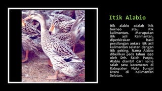 Jenis-Jenis Itik Di Dunia & Indonesia | PPTX