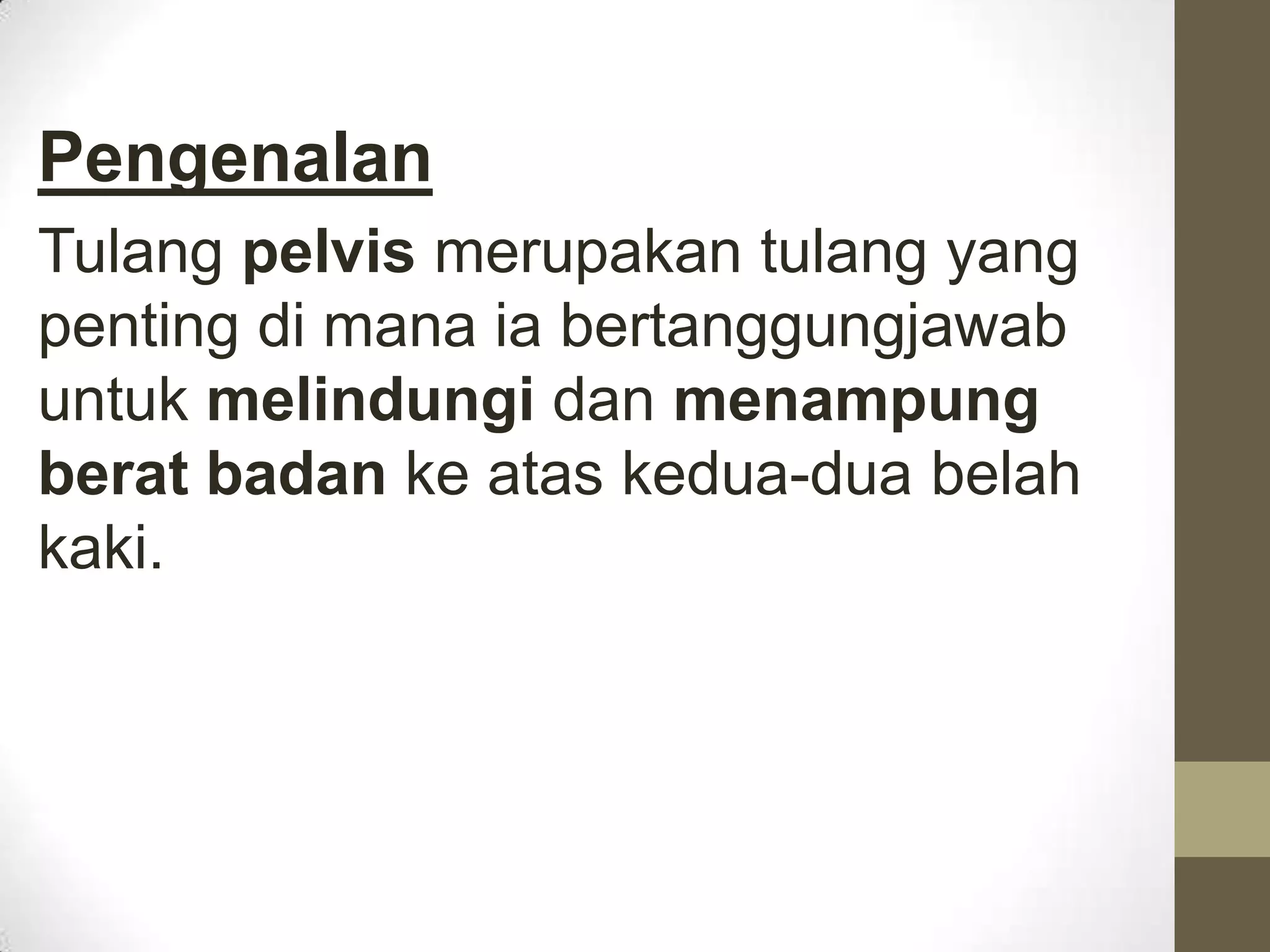 Anatomy of Female Pelvic Slideshow (in Malay) | PPTX