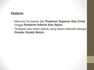 Anatomy of Female Pelvic Slideshow (in Malay) | PPTX