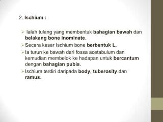 Anatomy of Female Pelvic Slideshow (in Malay) | PPTX
