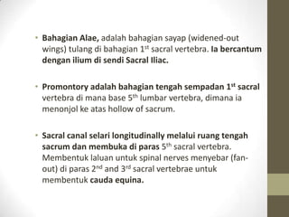 Anatomy of Female Pelvic Slideshow (in Malay) | PPTX