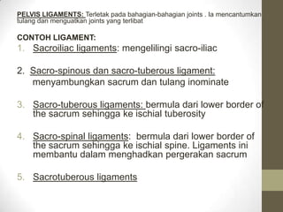 Anatomy of Female Pelvic Slideshow (in Malay) | PPTX