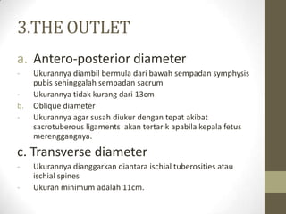 Anatomy of Female Pelvic Slideshow (in Malay) | PPTX