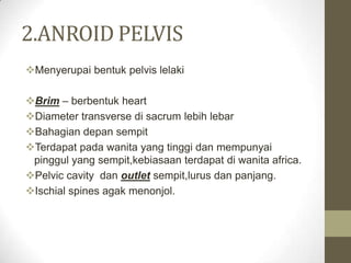 Anatomy of Female Pelvic Slideshow (in Malay) | PPTX