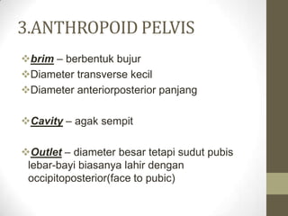 Anatomy of Female Pelvic Slideshow (in Malay) | PPTX