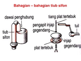 Jenis jenis pili, tangki simbah dan sanitasi 1 2 | PPT