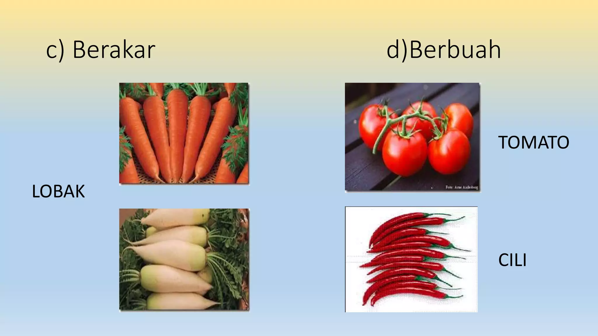 Jenis jenis sayuran | PPTX