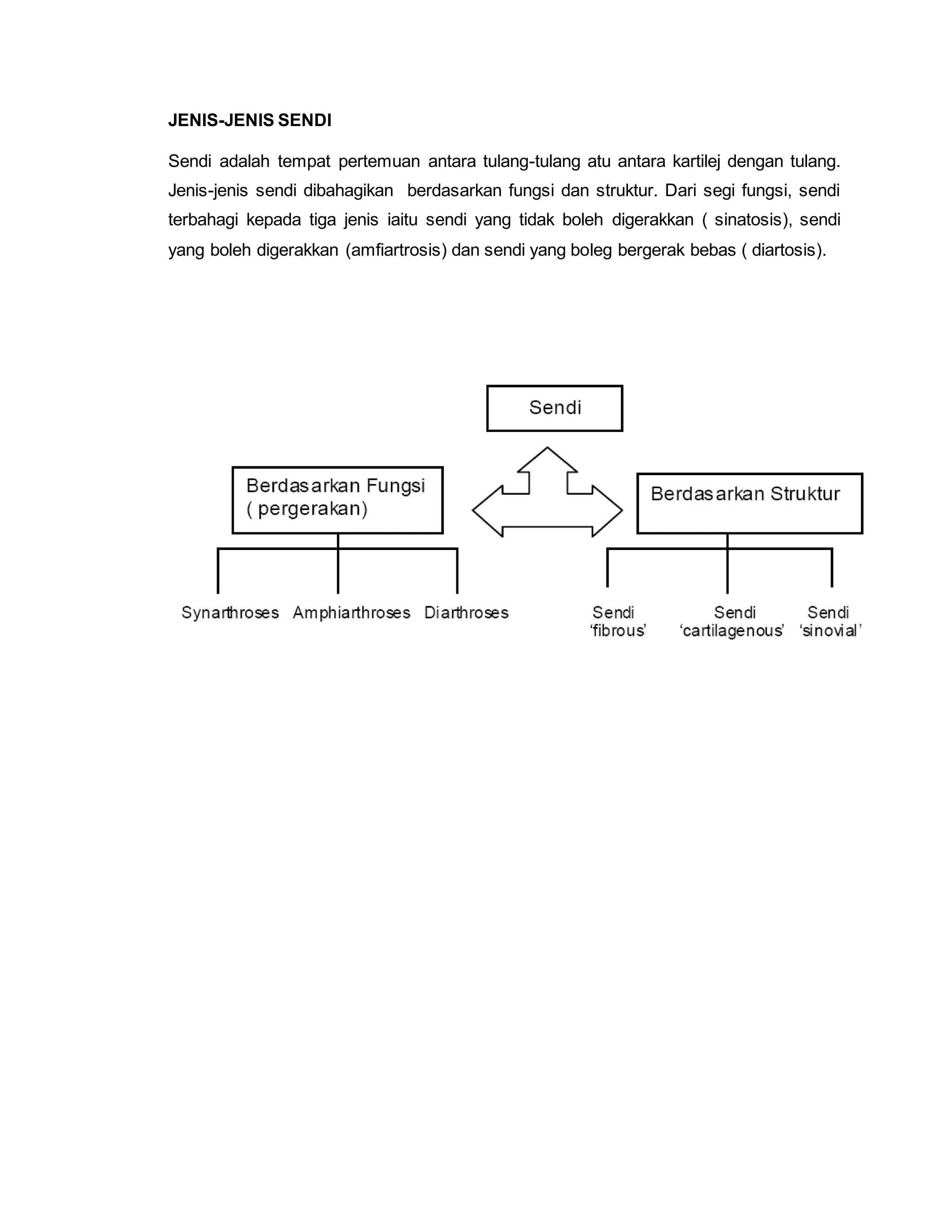 Jenis jenis sendi dan pergerakan | DOCX
