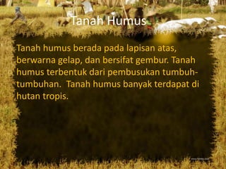 Jenis jenis tanah | PPTX