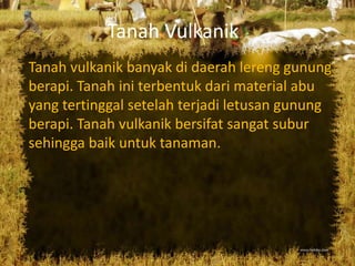 Jenis jenis tanah | PPTX