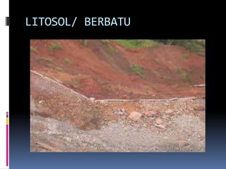 JENIS-JENIS TANAH.pptx