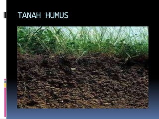 JENIS-JENIS TANAH.pptx