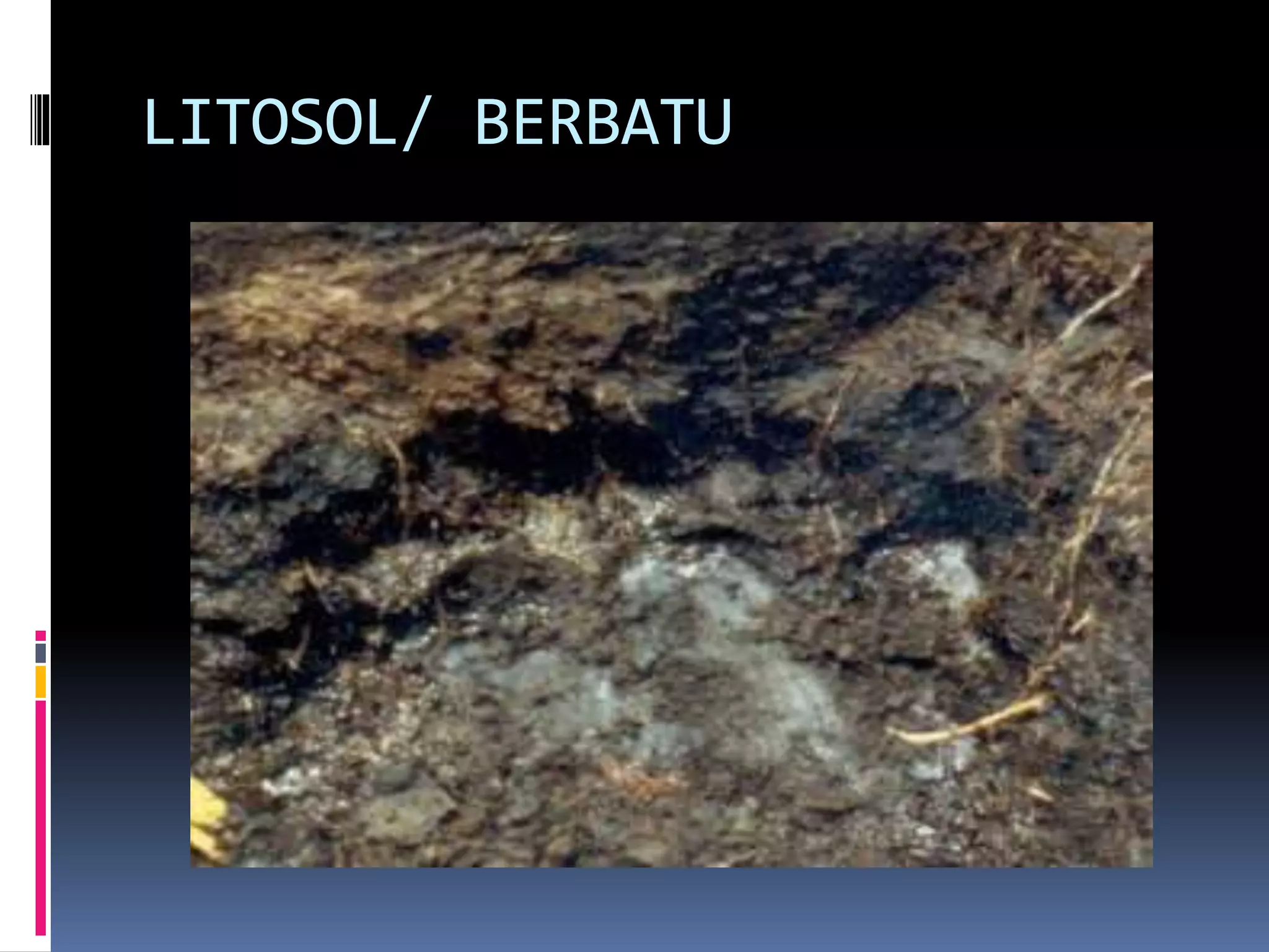 JENIS-JENIS TANAH.pptx