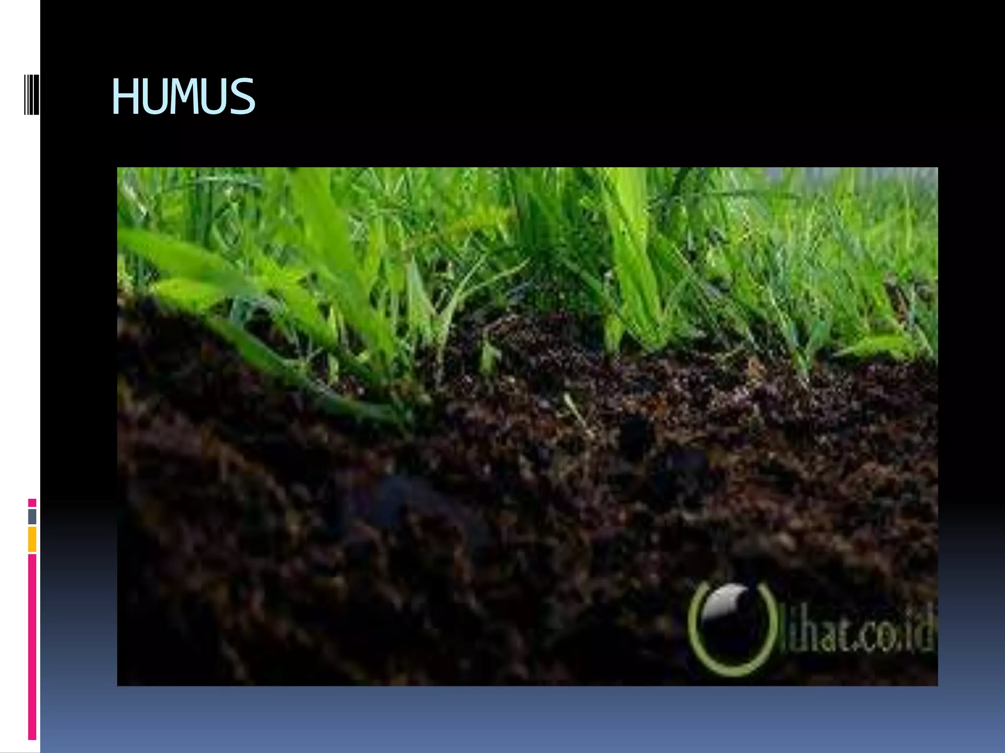 JENIS-JENIS TANAH.pptx