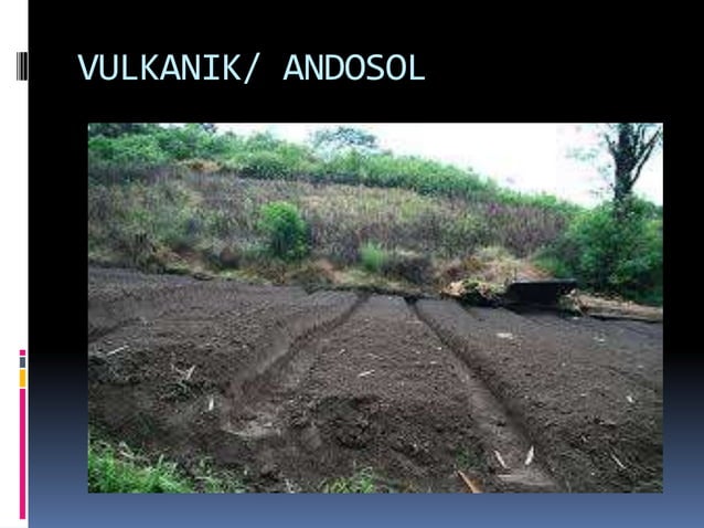 JENIS-JENIS TANAH.pptx