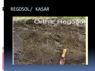 JENIS-JENIS TANAH.pptx