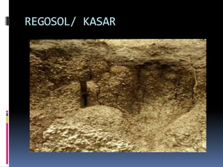 JENIS-JENIS TANAH.pptx